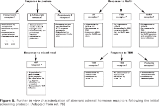 Hello USA: cosyntropin stimulation test