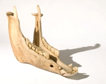 Arte y Antropología: Instrumentos musicales del Perú