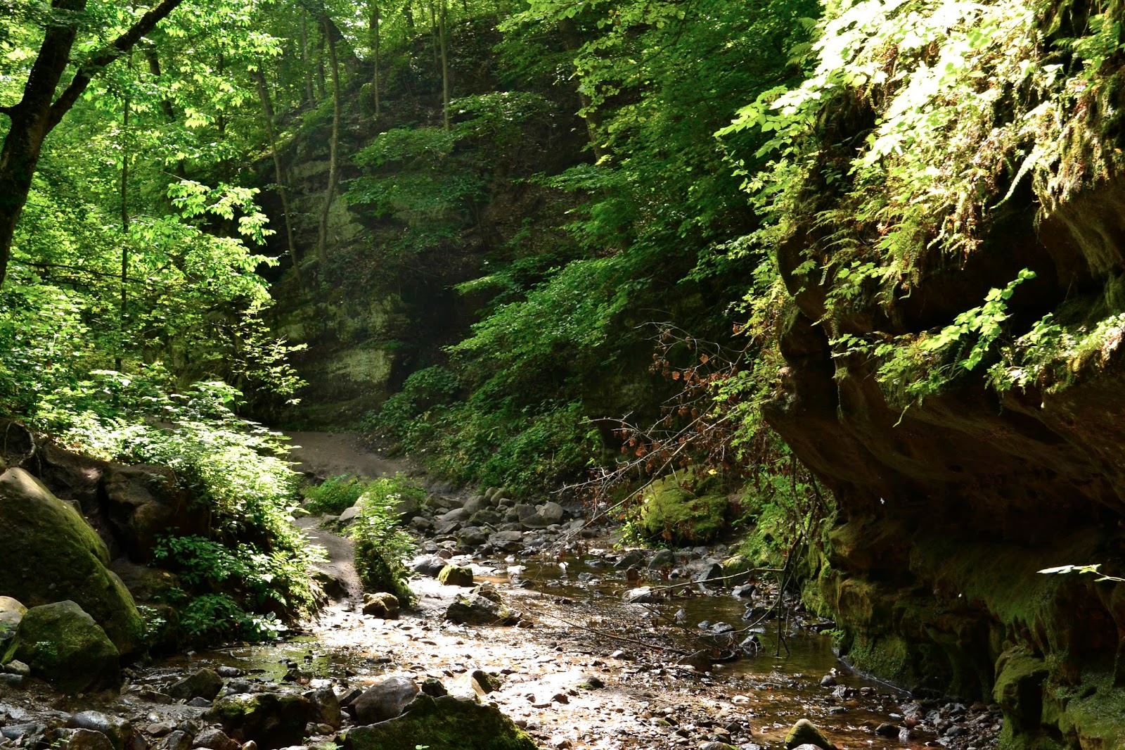 PARFAYS GLEN & WILDCAT MOUNTAIN WISCONSIN - ADAM HAYDOCK