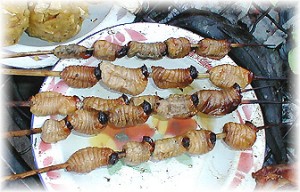 !Qué calor, es Iquitos!