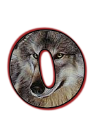 Alfabeto realista de lobos. - Oh my Alfabetos!