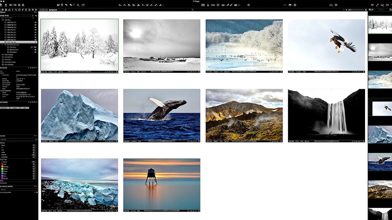 Photographic processing - Process Photography - Photo Choices