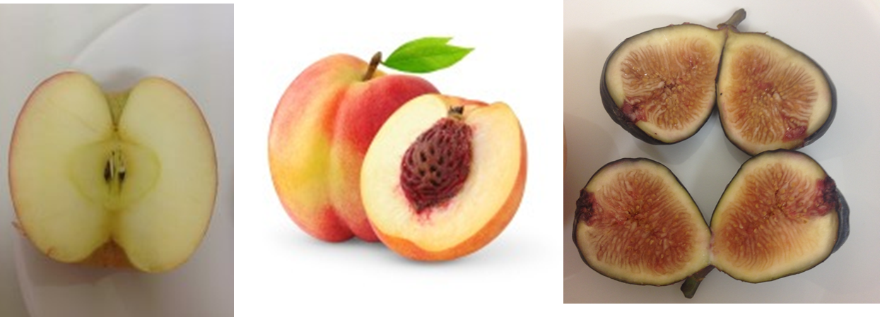 Sexy Food: FRUIT as Female GENITALIA