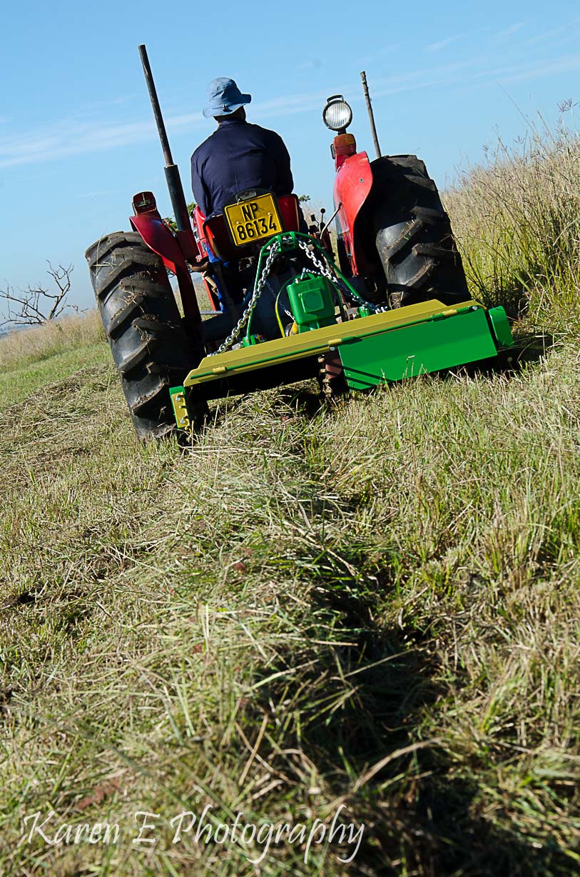 Karen E Photography: Falcon Equipment