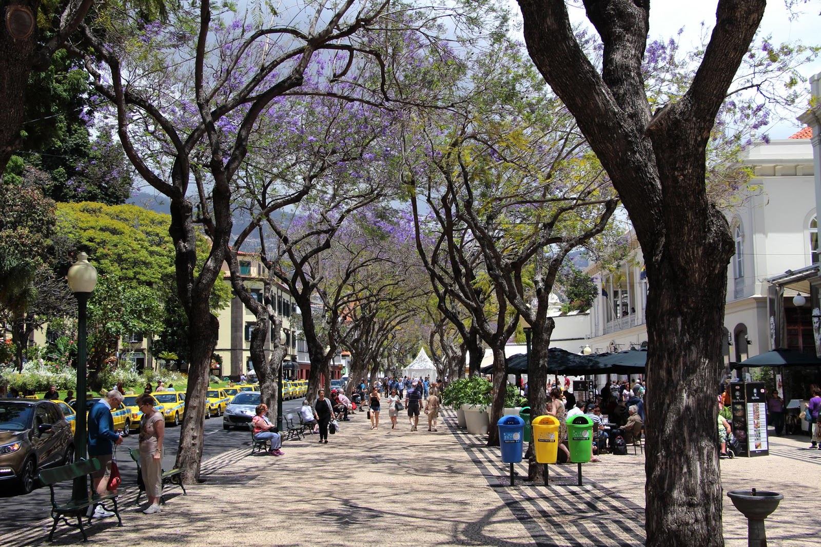 the sidewalk of Avenida Arriaga - Funchal Daily Photo