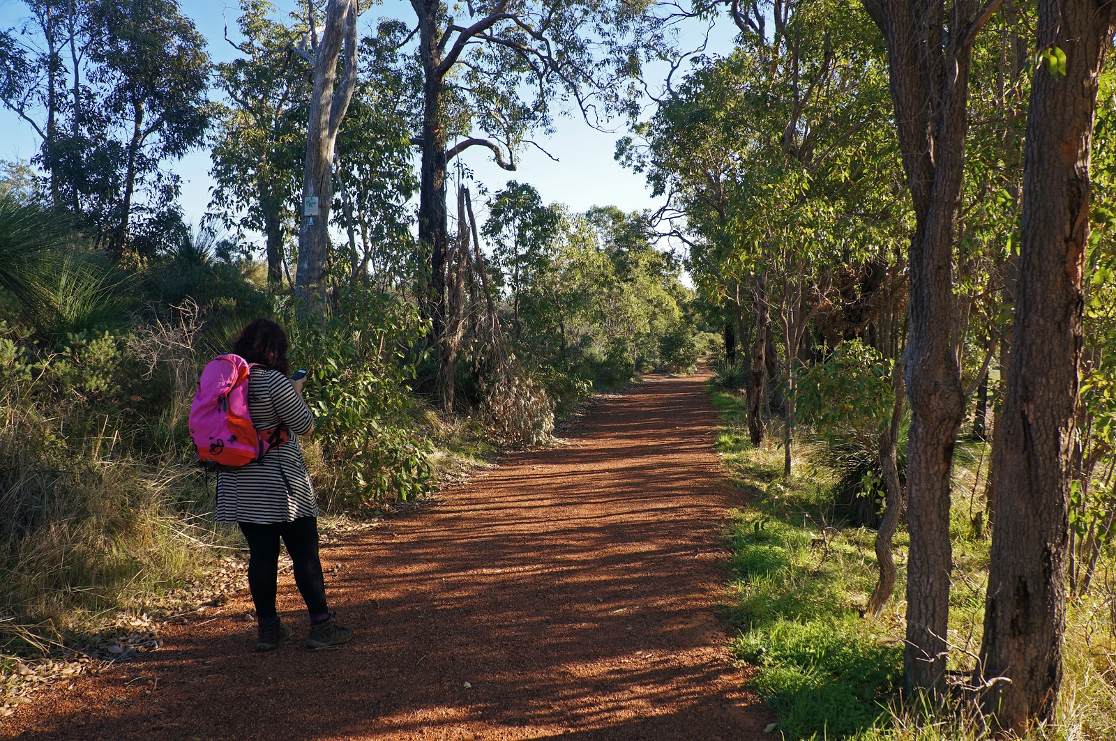 Lion's Lookout (Korung National Park) ~ The Long Way's Better