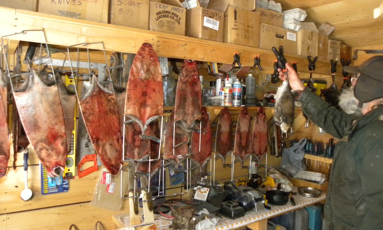 The Happy Trappers 2 Sixth Year: Musquash