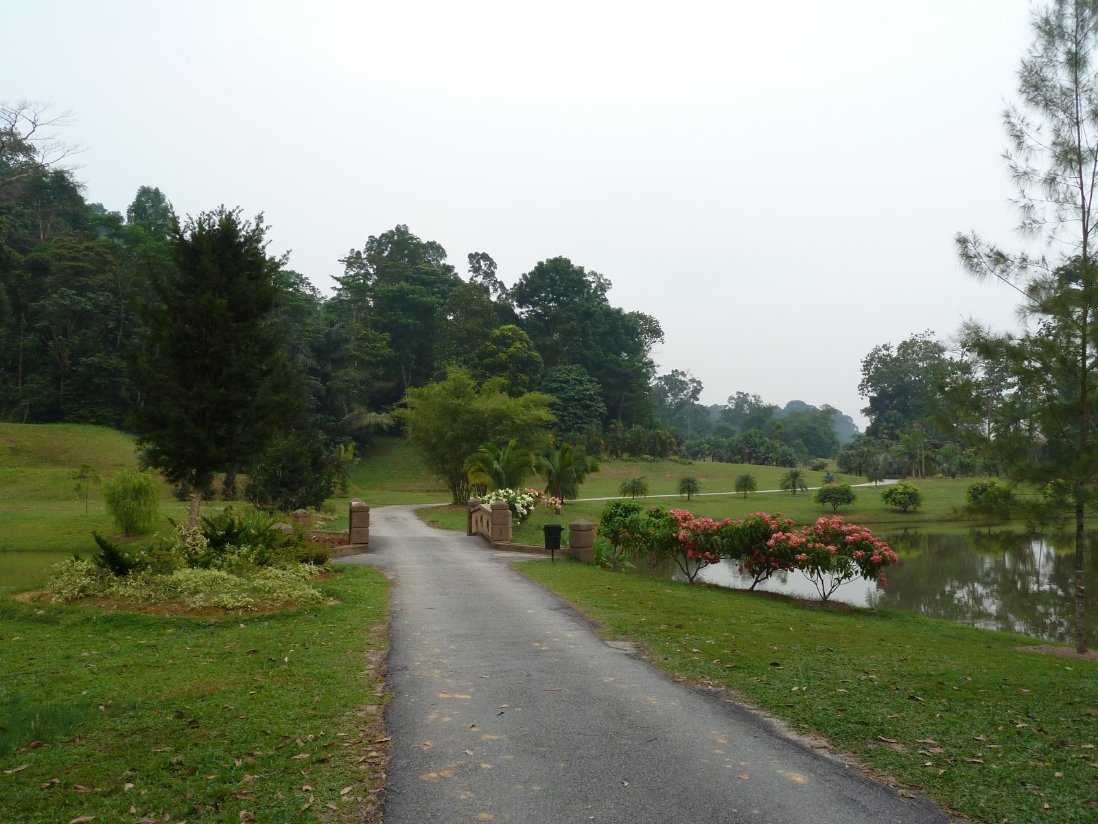 Grace's Tri-bulations: Kepong Botanical Gardens KBG FRIM