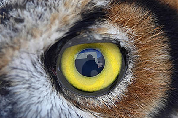 Ciencias Naturais Yessica Gómez 2ºA