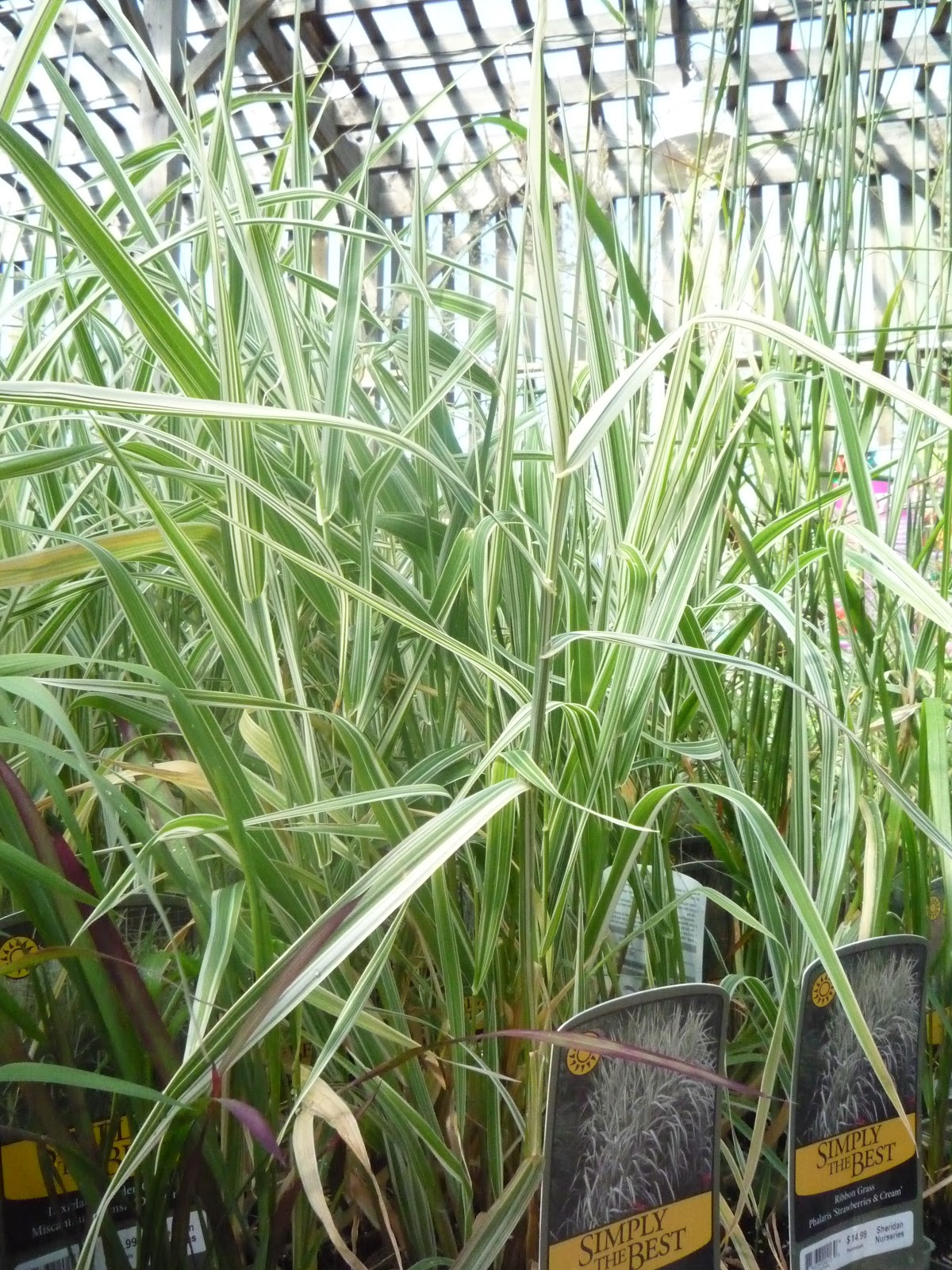 {This Darling Home}: Road Trip!