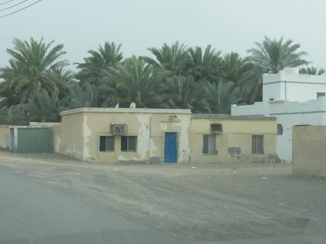 Go with Henry: Rural Al Musannah - castles, fishing villages & shops