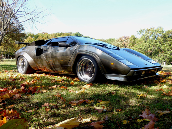 Pix Grove: Homemade Lamborghini
