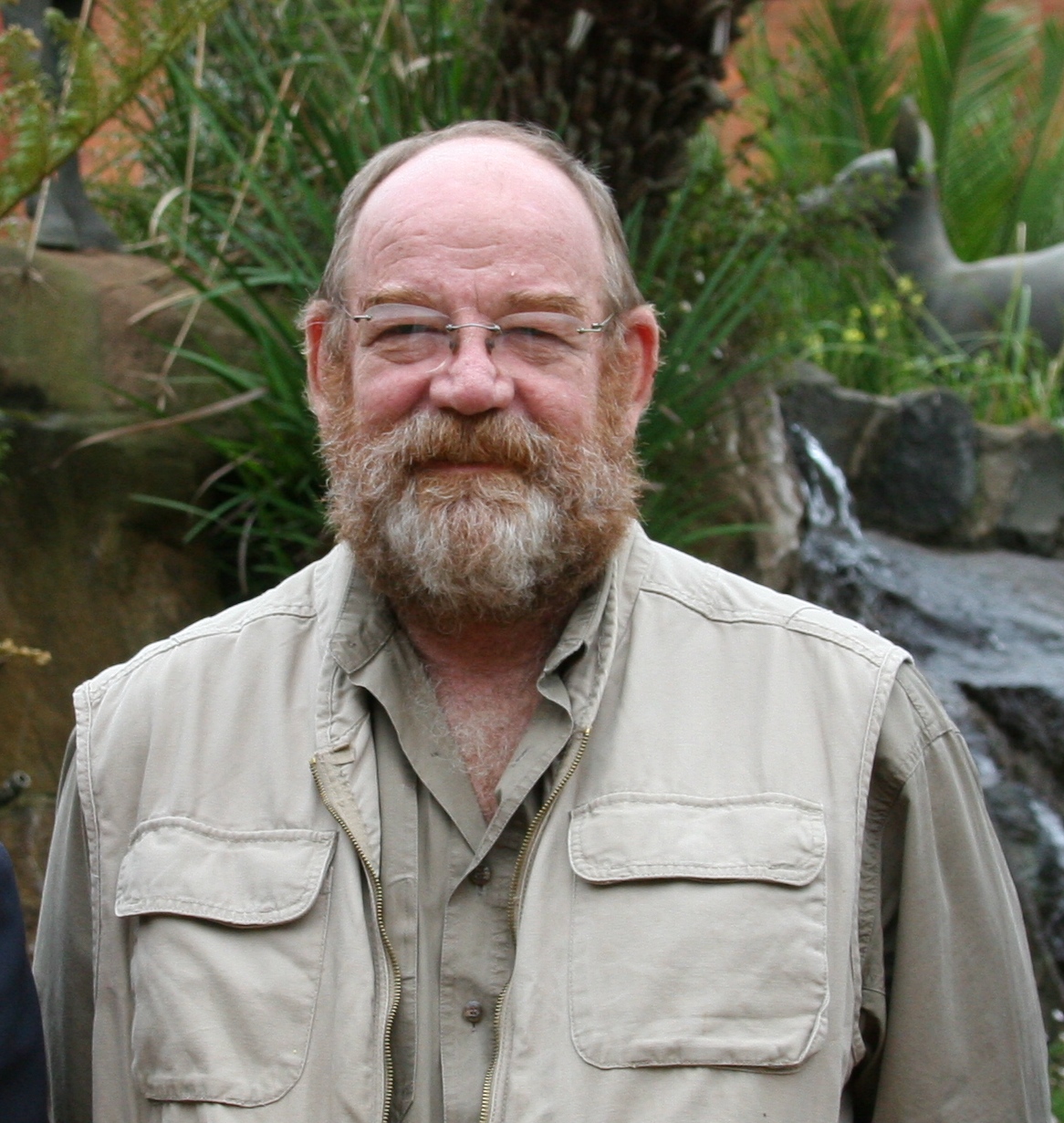 LAEO France: novembre 2015