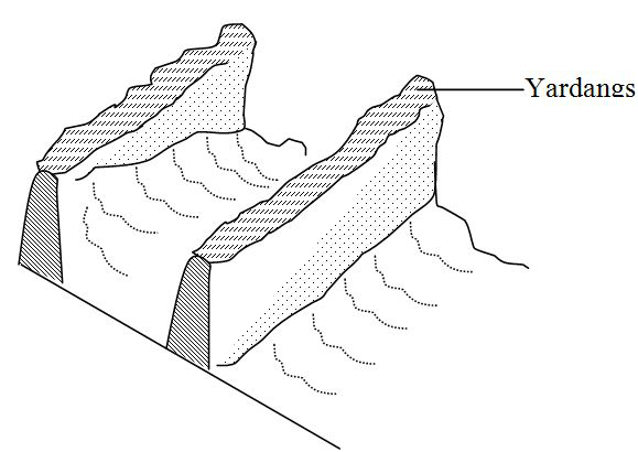 form three notes: WIND ACTIONS