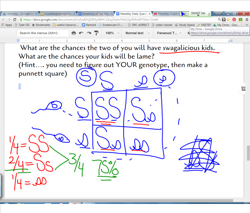 EC Honors Biology: Monday February 22nd - Punnett Square Intro