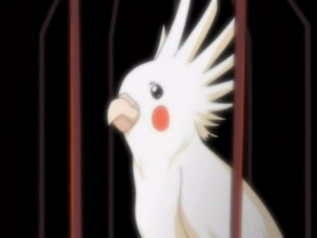 Bleach Episode 004 And Your Bird Can Speak | Bleach Anime