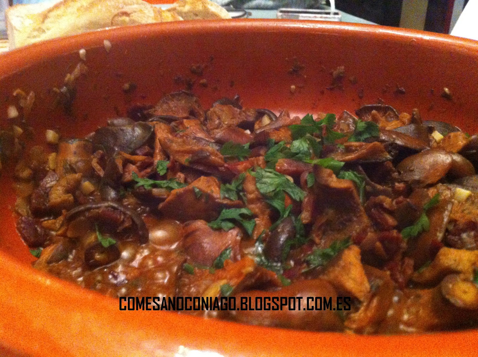 Come Sano: Lactarius Deliciosus (Niscalos)