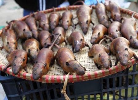 Mochileiros no Japão: Comidas exóticas pelo mundo!