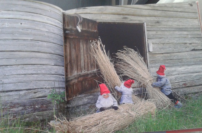 Finnish culture through children's books: Finnish elves for all seasons