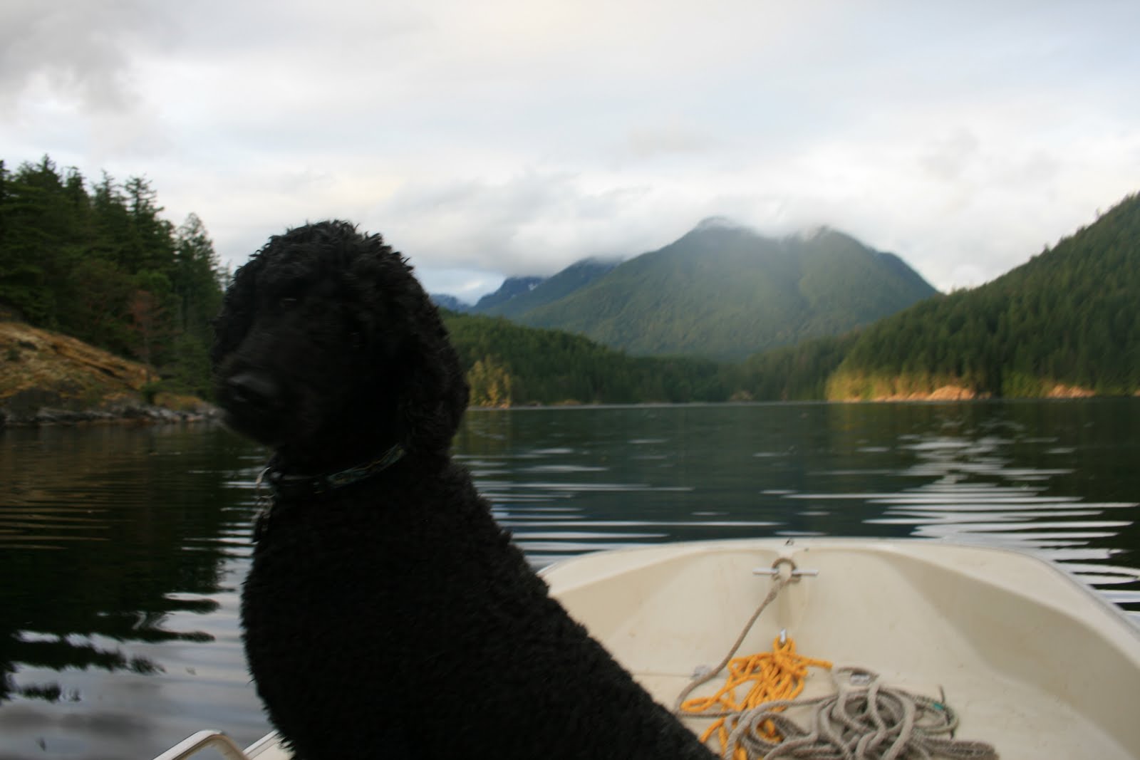 Free Spirit(s) V: June 29 - Tenedos Bay, Desolation Sound Marine Park