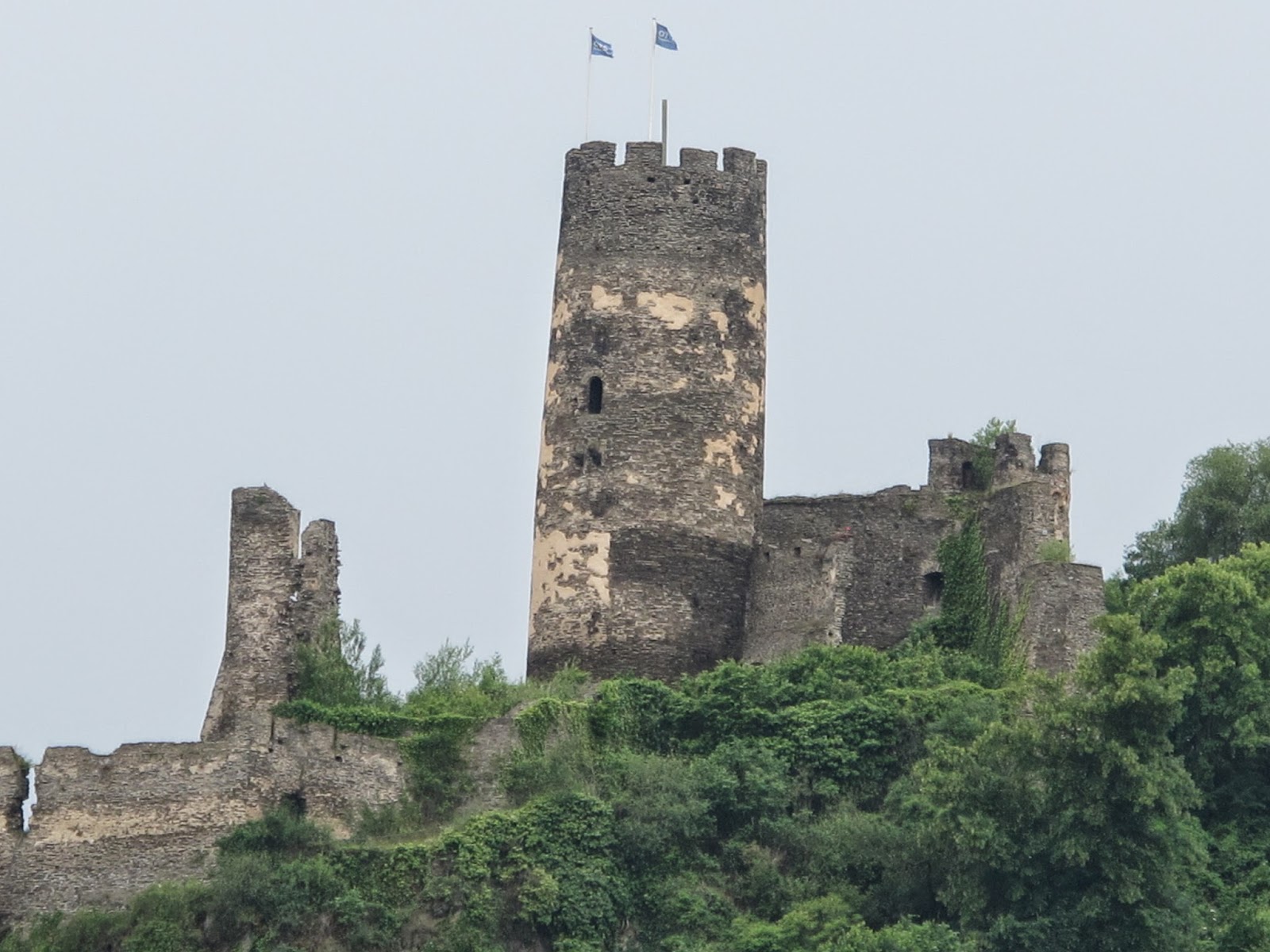The Horse and Hound: Rudesheim and the Rhine Valley castles June 4