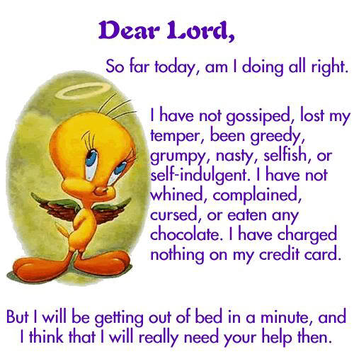 A prayer from Tweety Bird ... Dear Lord | Christian Funny Pictures - A ...