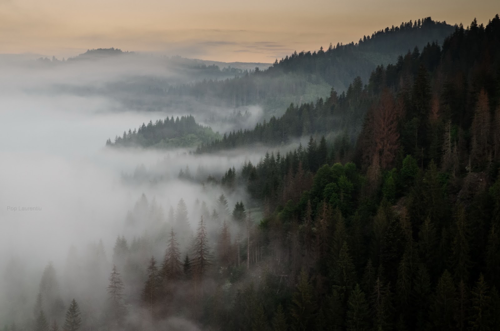 Poze tip pictures: Rasarit la Neagra - Stanca Soimilor
