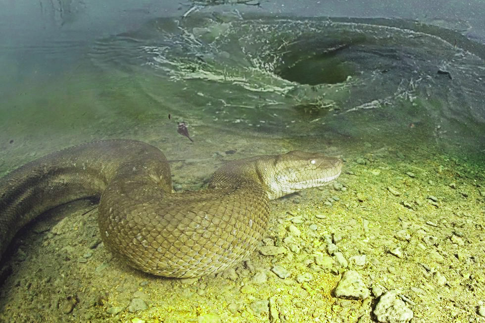 enero 2017 ~ Historias y Relatos