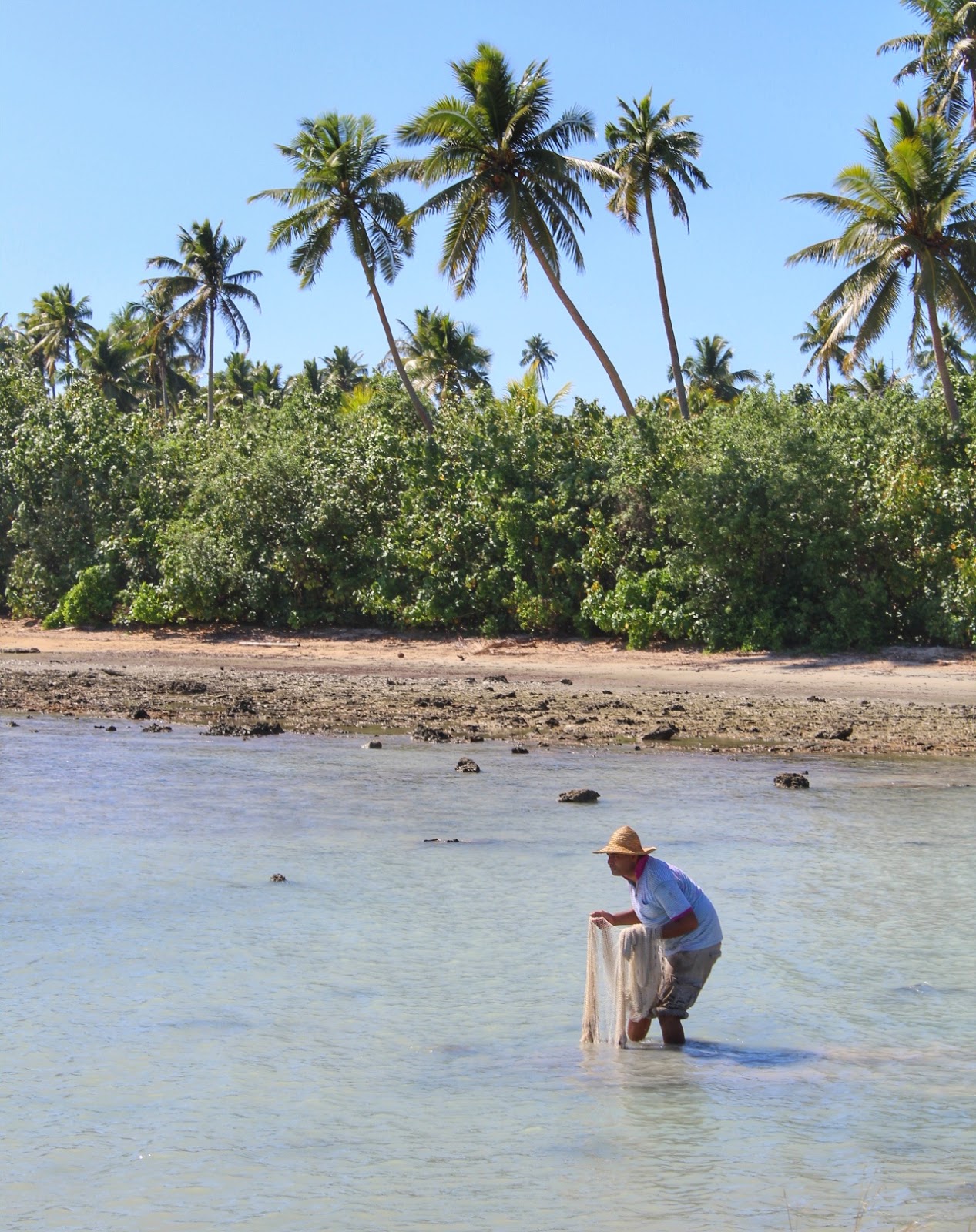 Tongan Potato - Keke pauta | Polynesian food, Food, Tongan food / In ...