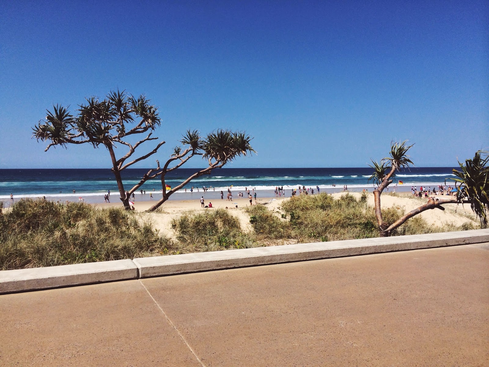 ANNIED SOME LIFE: // BEACH BEB + A WILD ANHIMAL