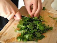 El Jardín de Judith: CILANTRO PARA BAJAR DE PESO Y AYUDAR A LA DIGESTIÓN