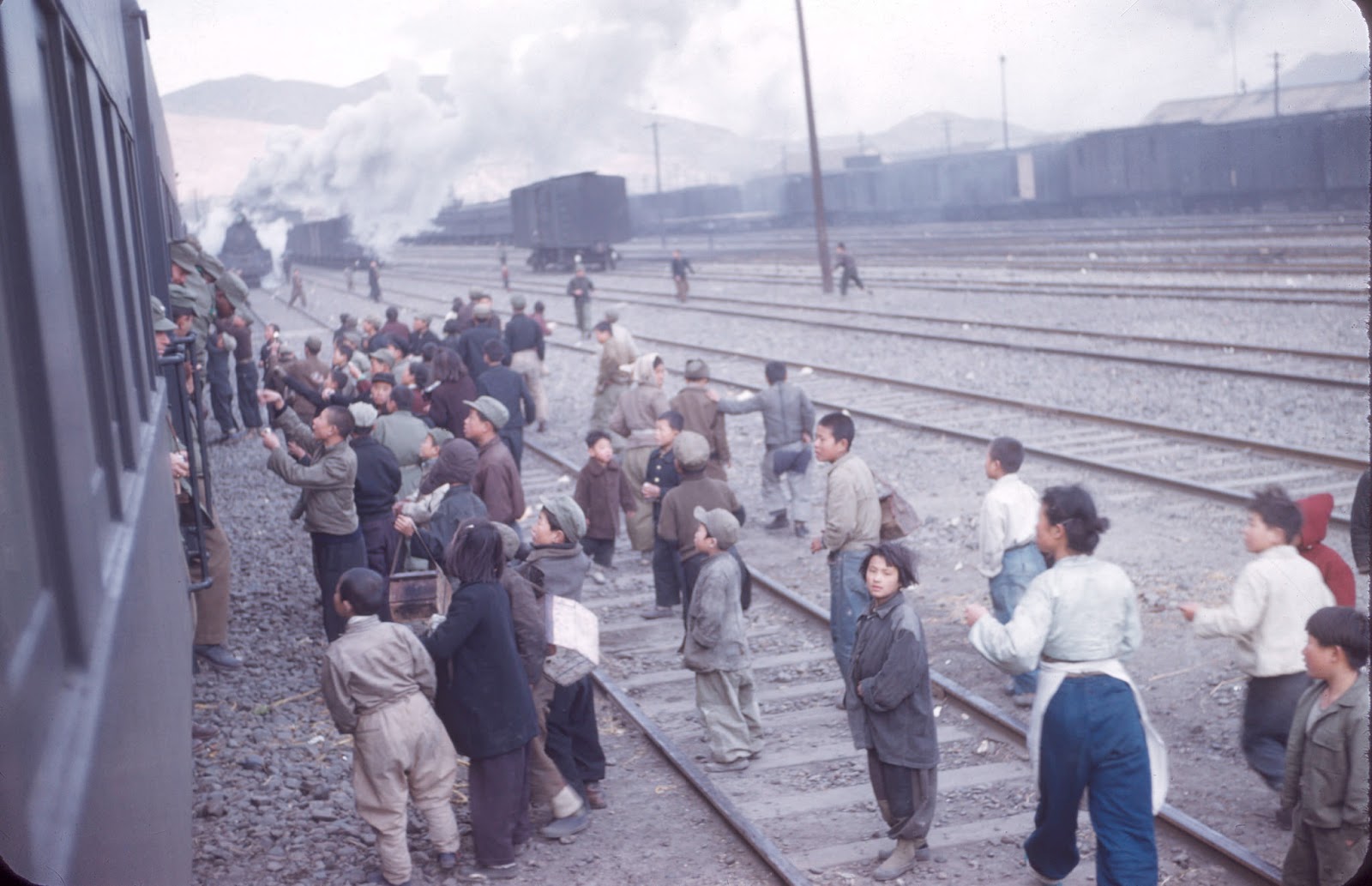 The Battle of Turkey Thicket: 2018