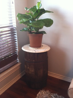 Adventures In Creating: Caring for a Fiddle Leaf Fig Tree