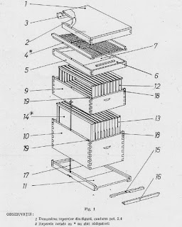Stupul vertical cu corp si magazin STAS Schite ~ Stuparitul - Apicultura