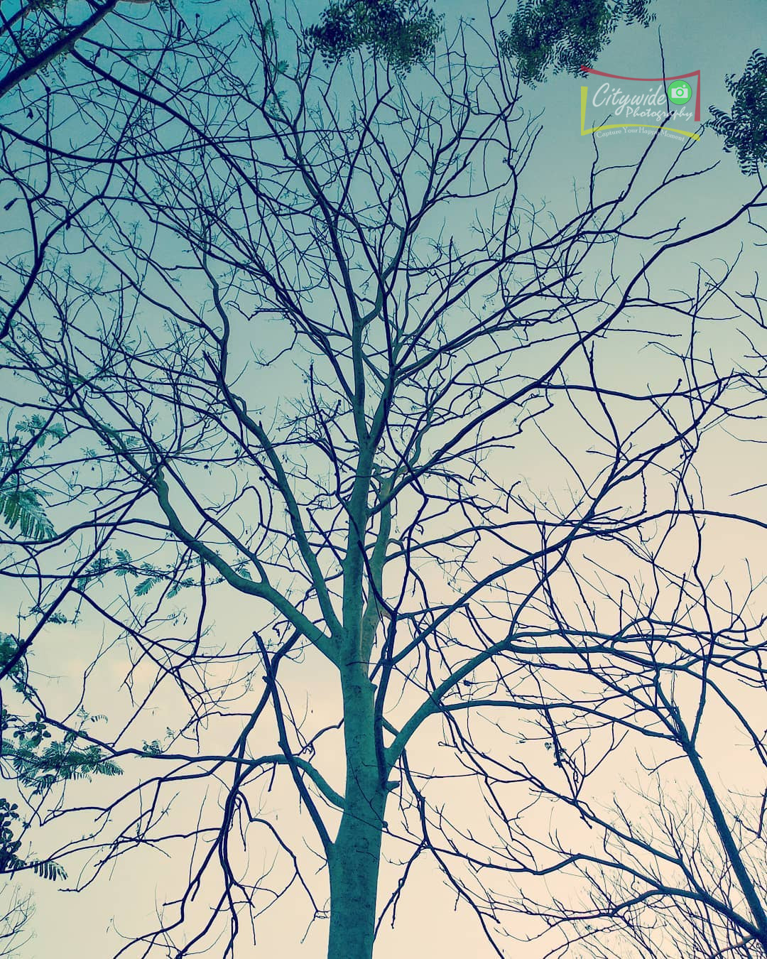 autumn season - Citywide photography