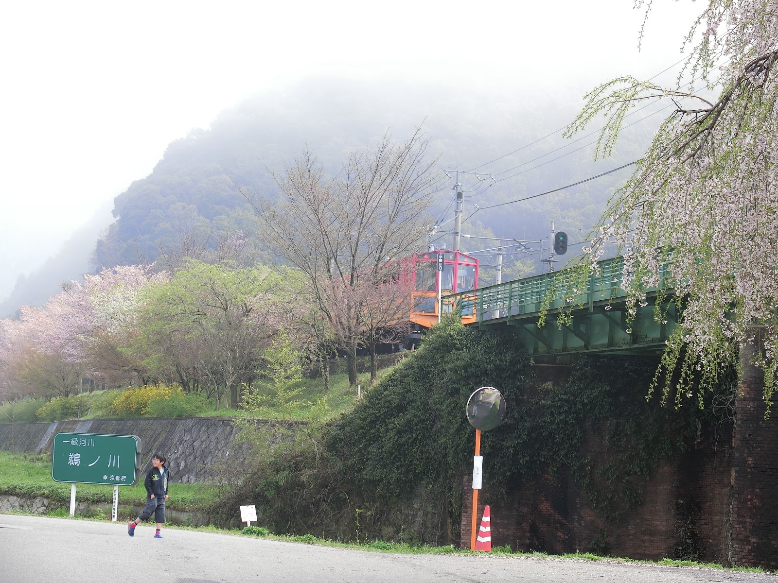 Jocie Lilin: Kyoto - Sagano Romantic Train - Arashiyama Bamboo Forest ...
