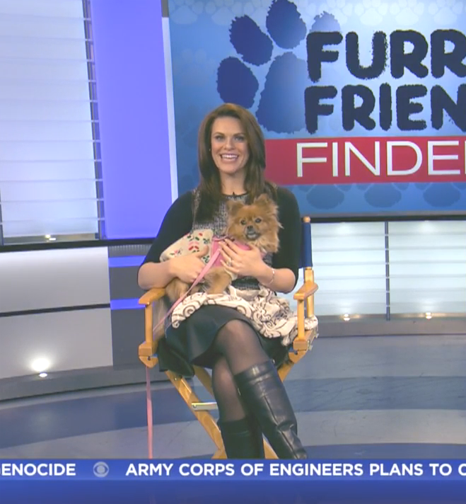 THE APPRECIATION OF BOOTED NEWS WOMEN BLOG : alex denis