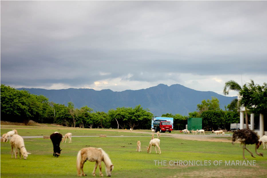 It All Began in Vigan, Ilocos Sur | The Chronicles of Mariane