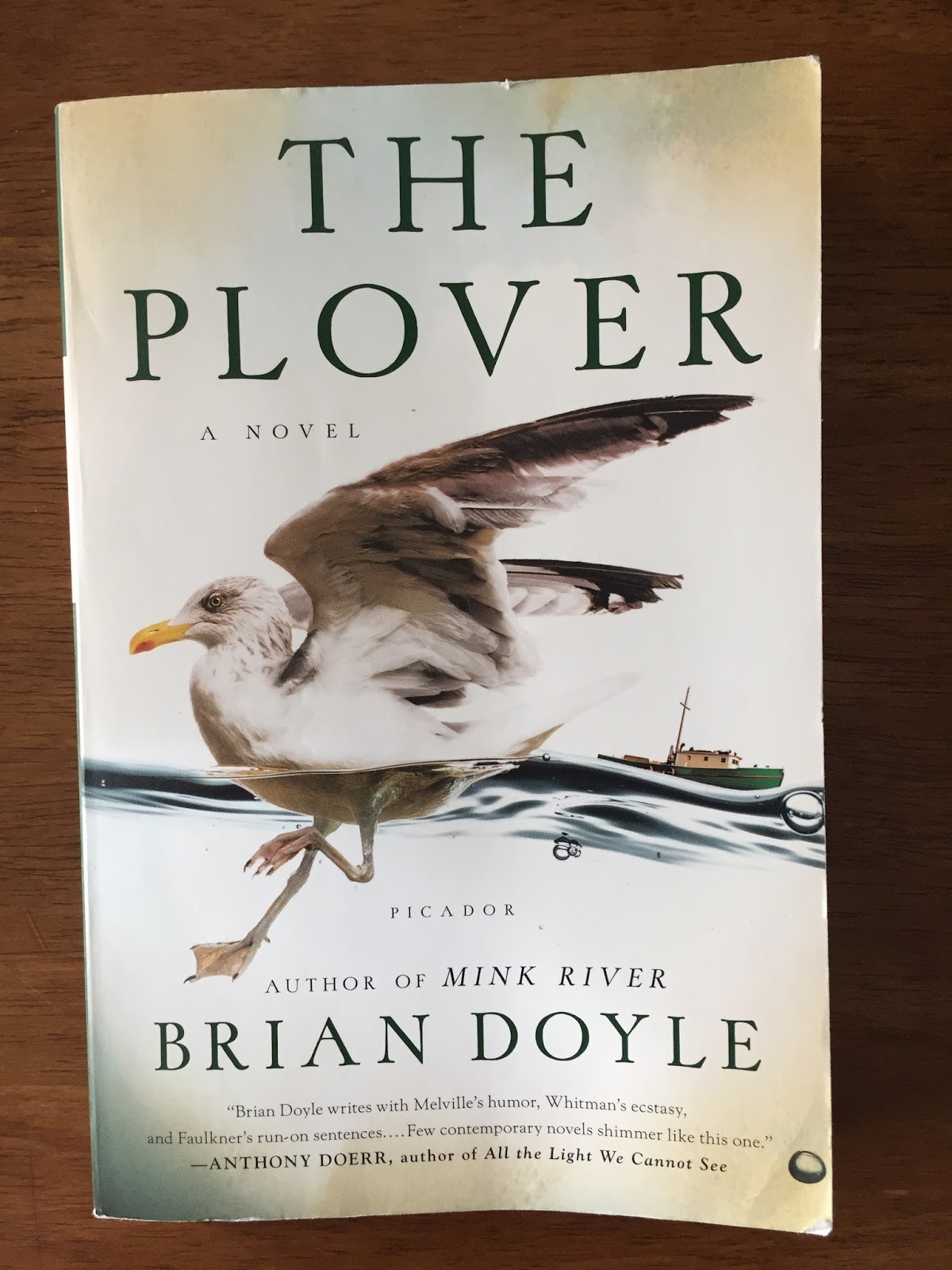 Solid Hookups: The Plover