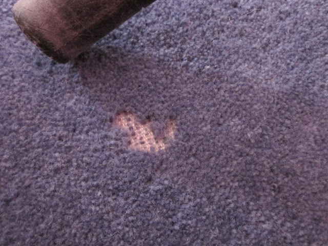 Mummy From The Heart: Help my carpets are infested with Moths!