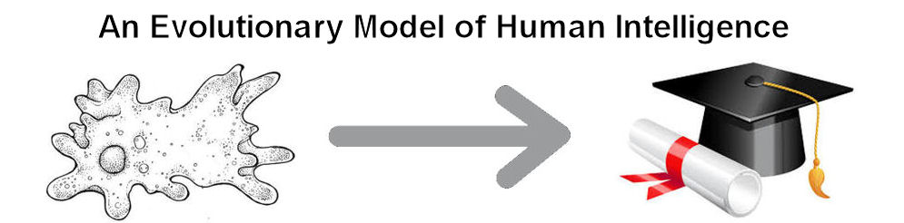 An Evolutionary Model of Human Intelligence