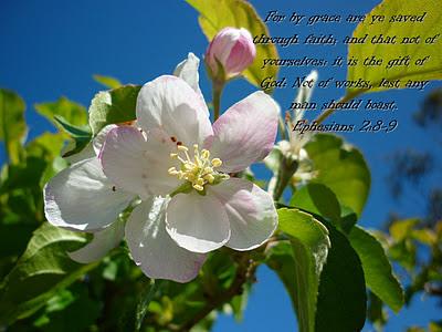 KJV Bible Wallpapers: Ephesians 2:8-9