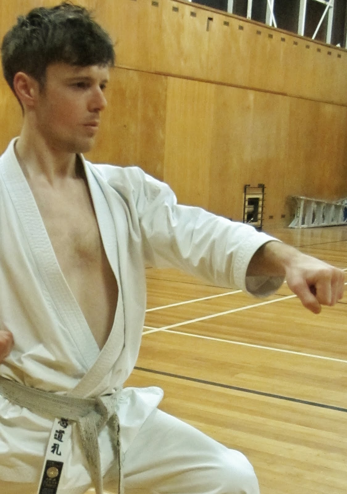 André Bertel's Karate-Do: Jodan, chudan, gedan...