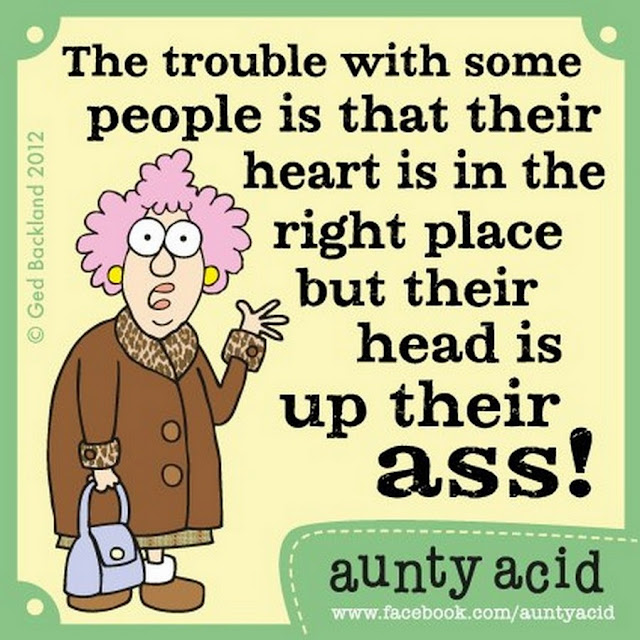 Chuck's Fun Page 2: Aunty Acid cartoons