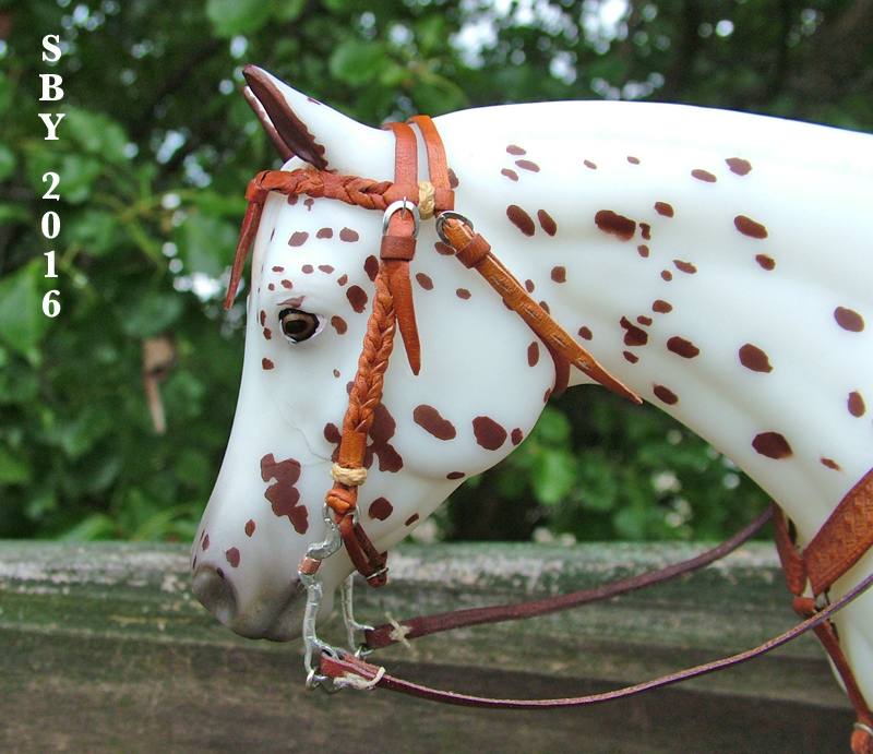 Timaru Star II: Ricky's Bridle