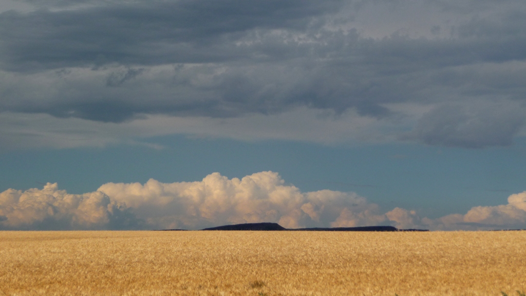 Metamorphosis Road: Campground Review: Juniper Campground at Ririe ...