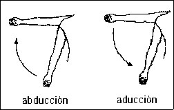 Biología Humana: ARTICULACIONES: TIPOS DE MOVIMIENTO