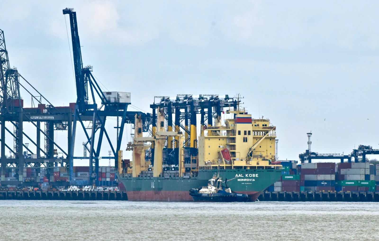 REMOTE CONTROLLED RTGS AT THE PORT OF FELIXSTOWE