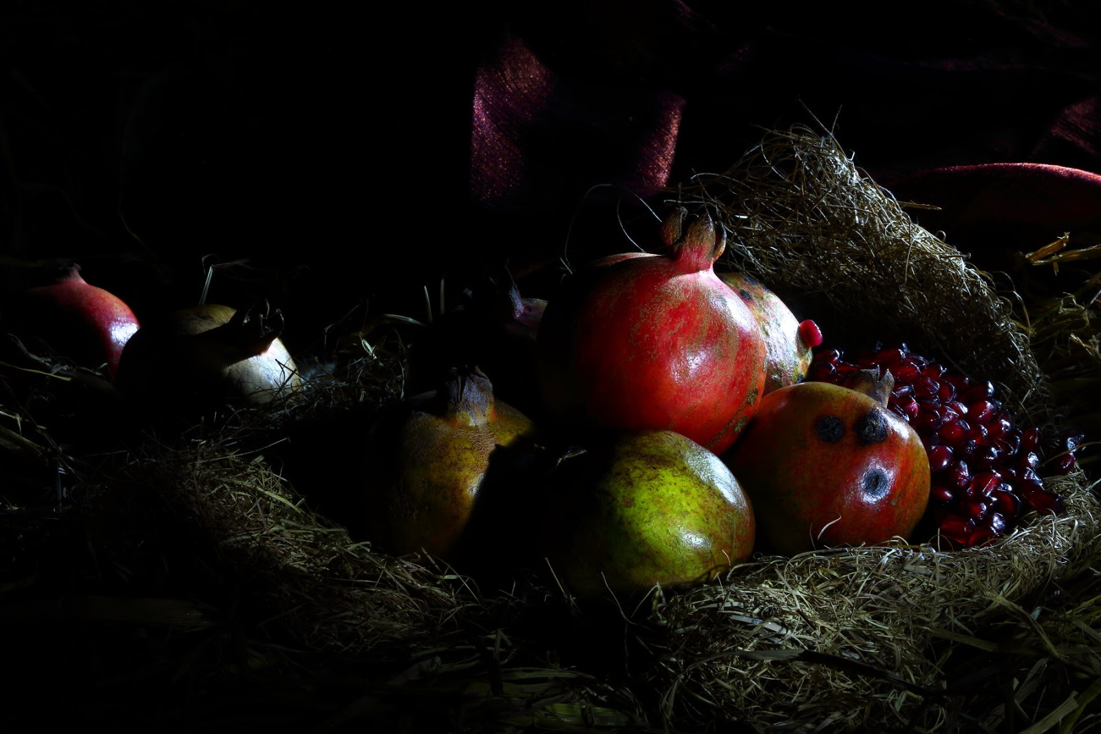 ACTINIC LIGHT PHOTOGRAPHY