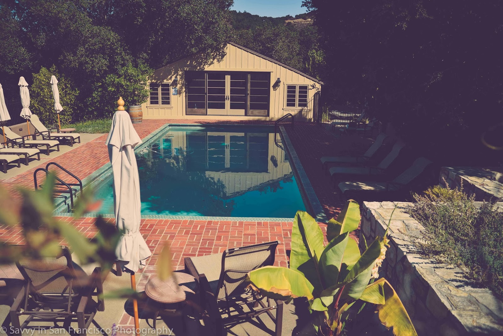 Savvy in San Francisco: Holman Ranch Vineyards - Carmel Valley